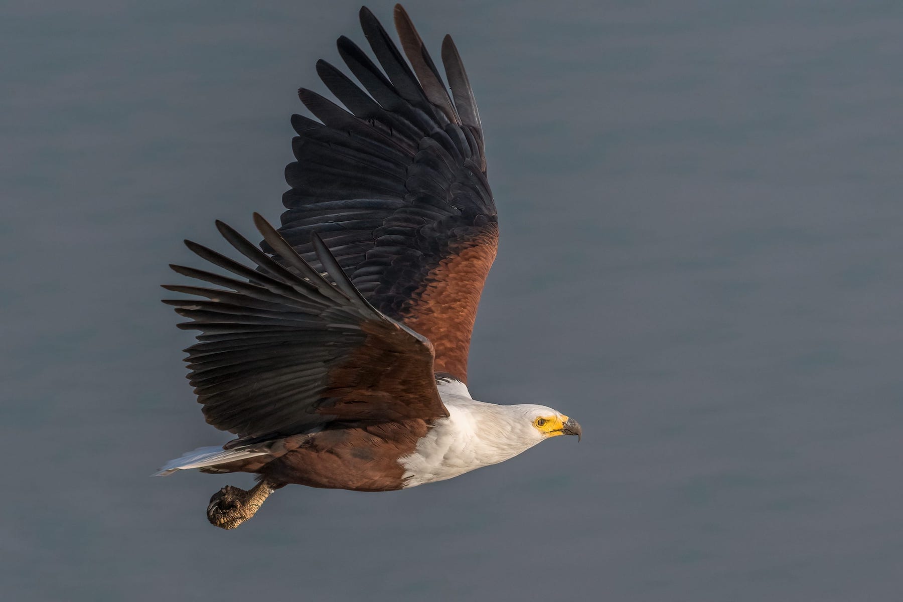 Gallery - Hawke's Bay Photographic Society