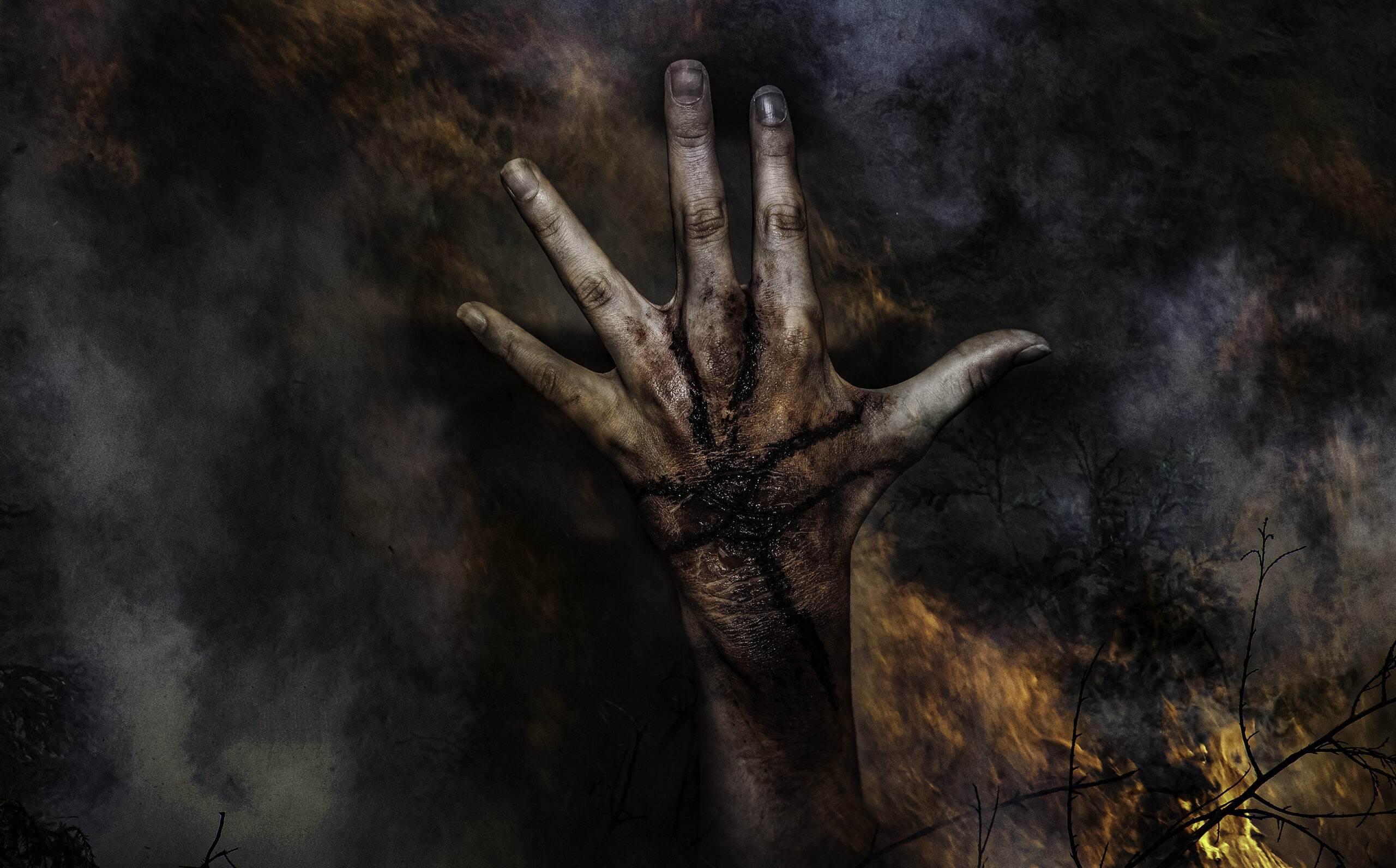 Gallery - Hawke's Bay Photographic Society